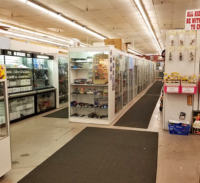 The wide, clean aisles make serious collecting feel comfortable and organized for discerning treasure hunters.
