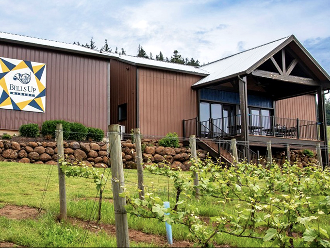 Stone retaining walls frame vineyard rows with the craftsmanship of old-world European wine estates.