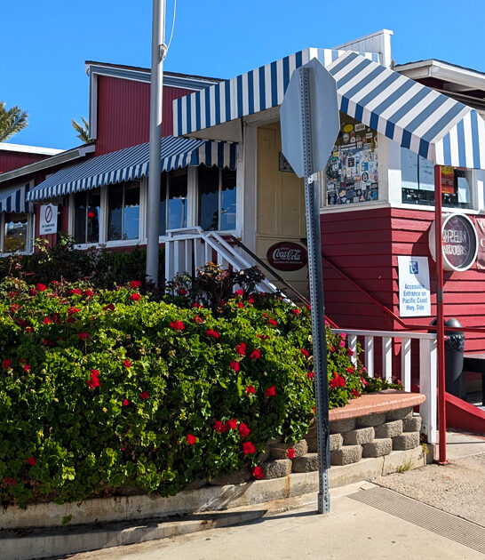 affordable california cheap cafe ftr