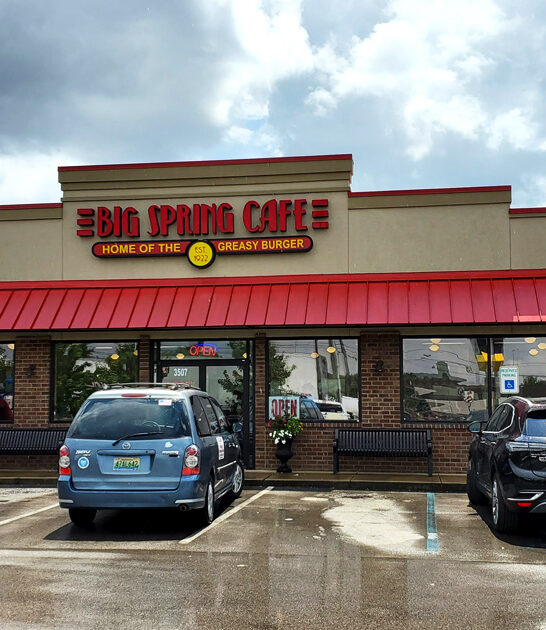 alabama cafe onion rings ftr
