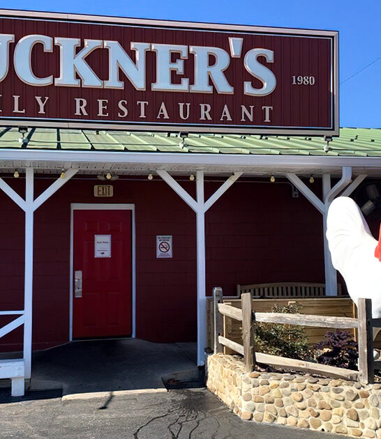 all eat georgia road ftr