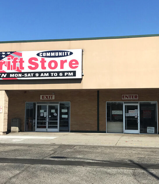 amazing finds michigan store ftr