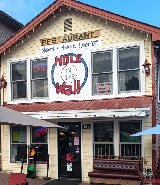 amazing legendary diner georgia ftr