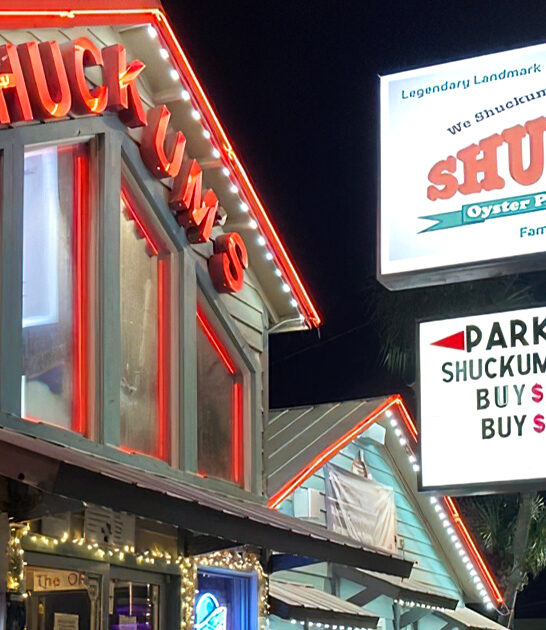 amazing raw oysters florida ftr