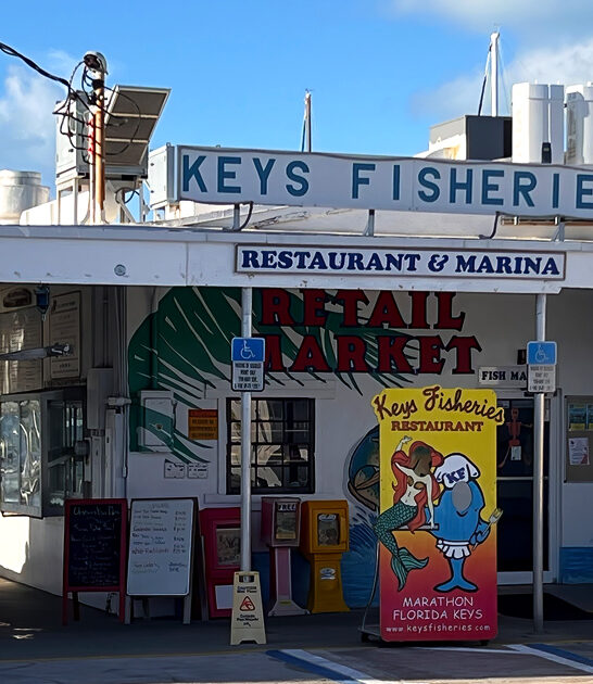 amazing seafood deli florida ftr
