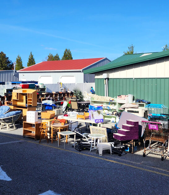 amazing thrift store delaware ftr