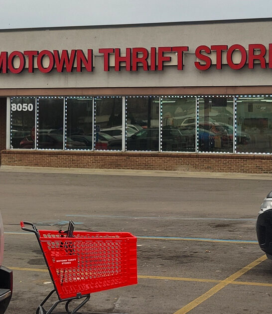 amazing thrift store michigan ftr