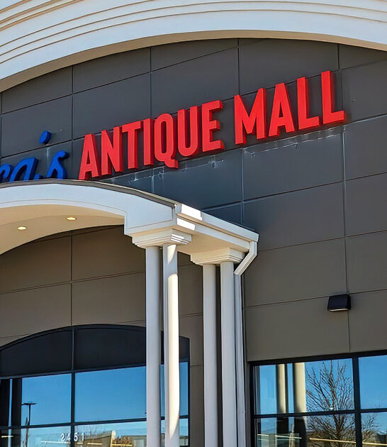 amazing vintage stores illinois ftr