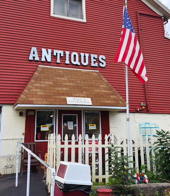antique store enormous illinois ftr