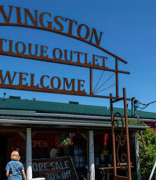 antique stores michigan cheap ftr