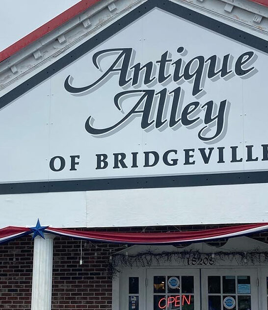 antique unique store delaware ftr