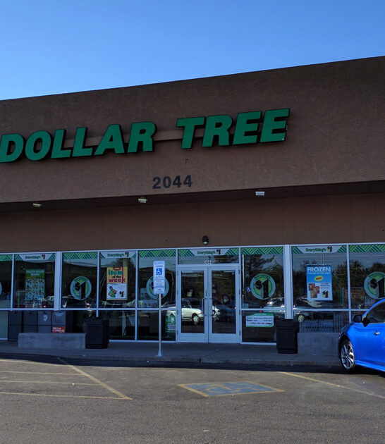 arizona dollar store hunting ftr