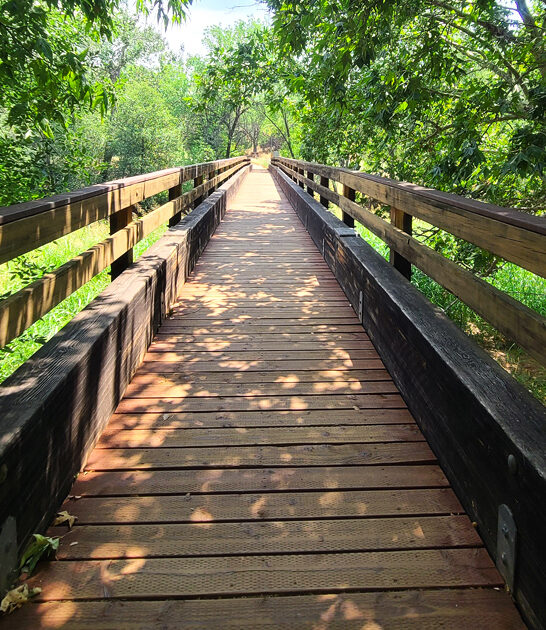 arizona dreamy great park ftr