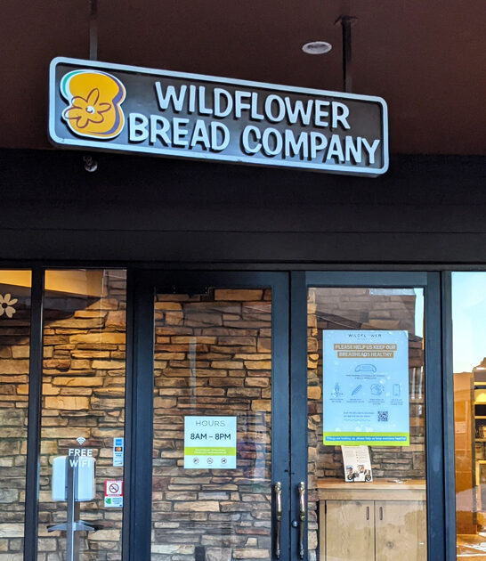 arizona perfect charming cafe ftr