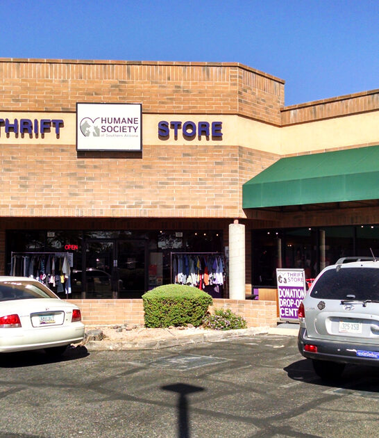 arizona rare bargains thrift ftr