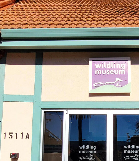 art museum california secrets ftr