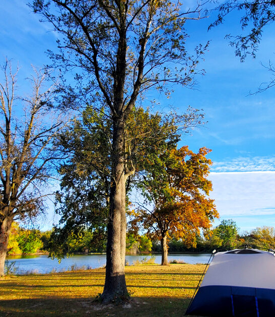 astonishing worthy park illinois ftr
