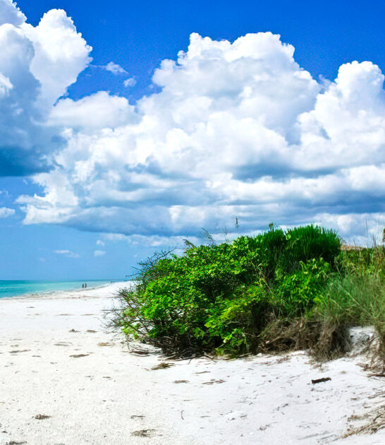astounding state park florida ftr