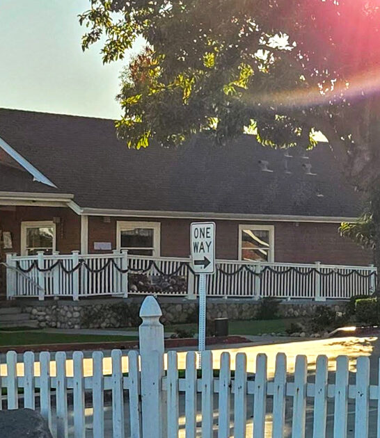 avocado toast spot california ftr