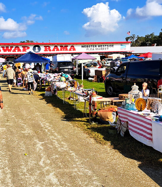 awesome bargains florida market ftr