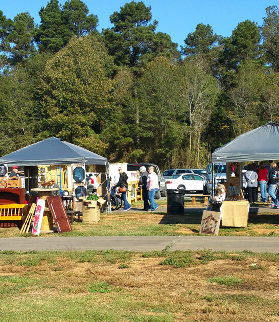 bargain flea markets louisiana ftr