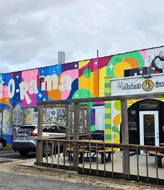 bargain hunt spot georgia ftr