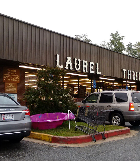 bargain hunting maryland dream ftr