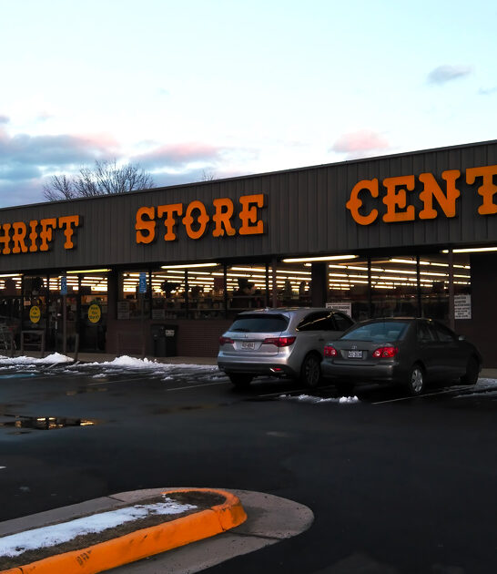 bargain hunting virginia thrift ftr