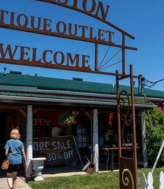 bargain michigan enormous dreams ftr