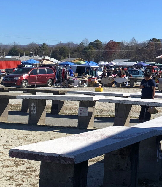 bargain north carolina dreams ftr