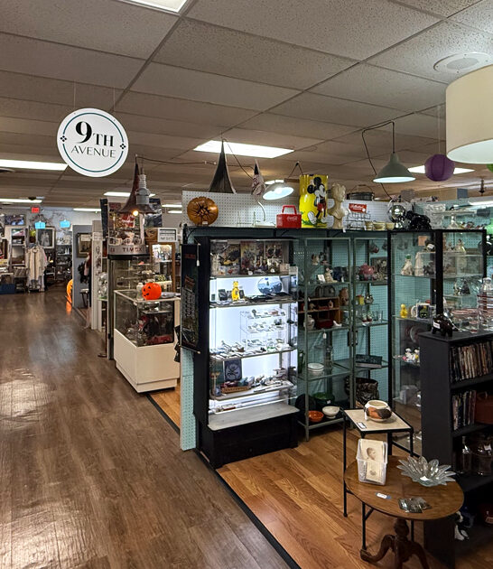 bargains vintage store michigan FTR