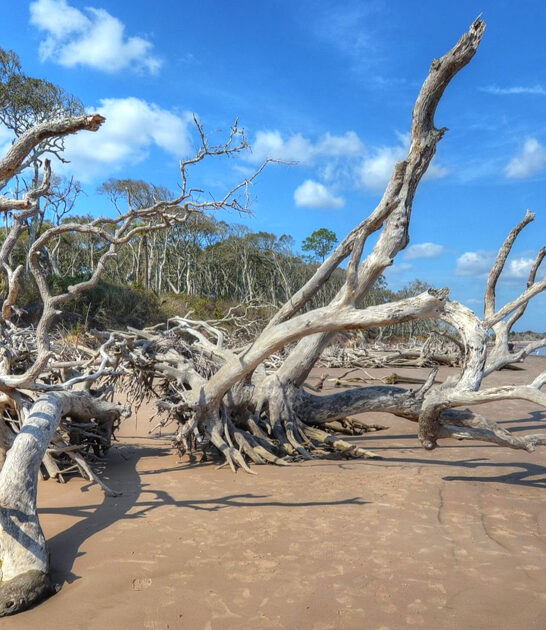 beaches florida captivating ftr