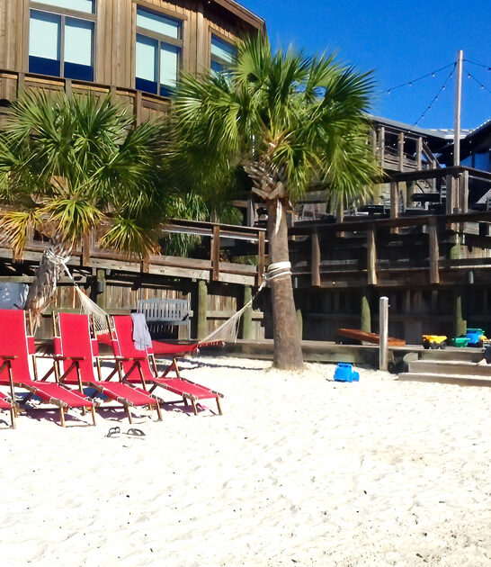 beachfront restaurant florida snapper ftr