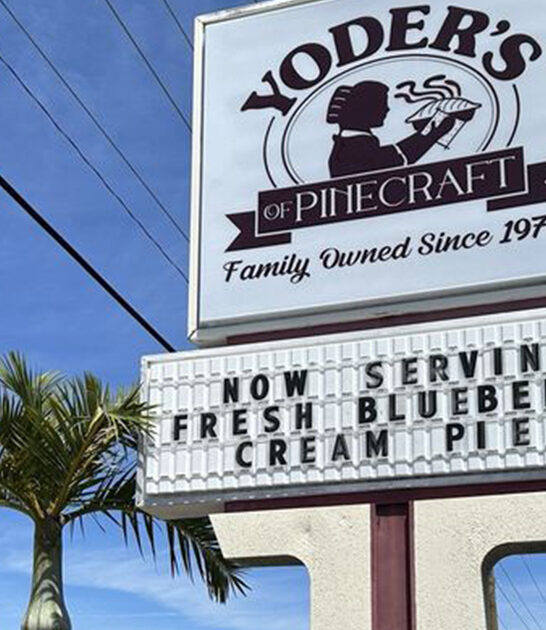 best amish pies florida ftr