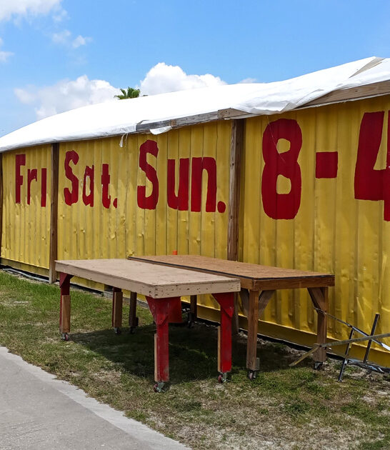 best bargain deals florida ftr