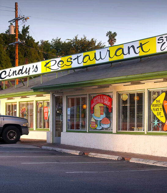 best burgers california diner ftr