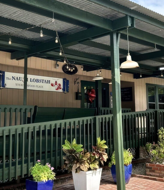 best catfish florida ftr