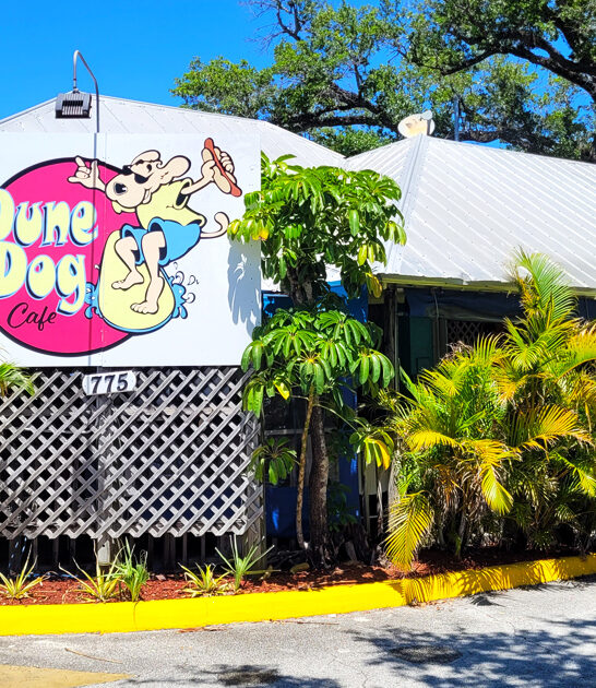 best fish florida cafe ftr