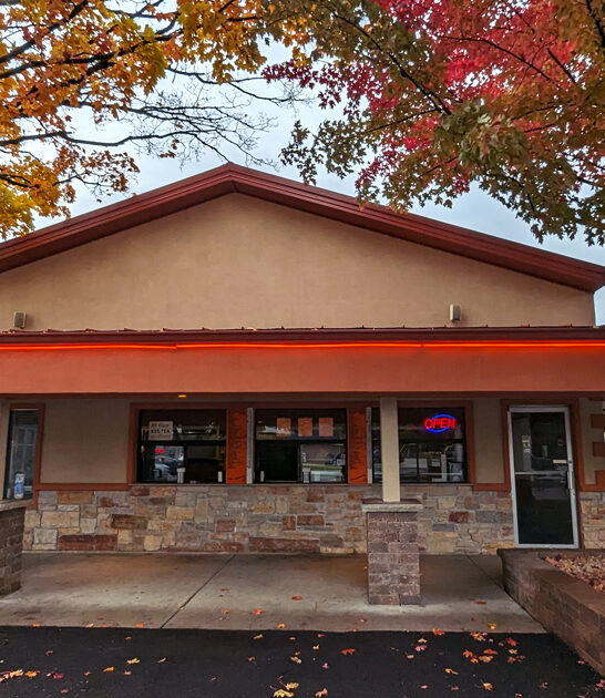 best french fries illinois ftr