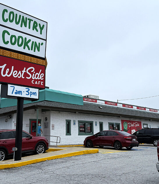 best fried catfish texas ftr