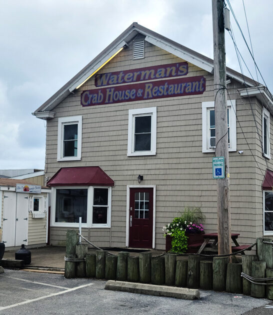 best maryland hush puppies ftr
