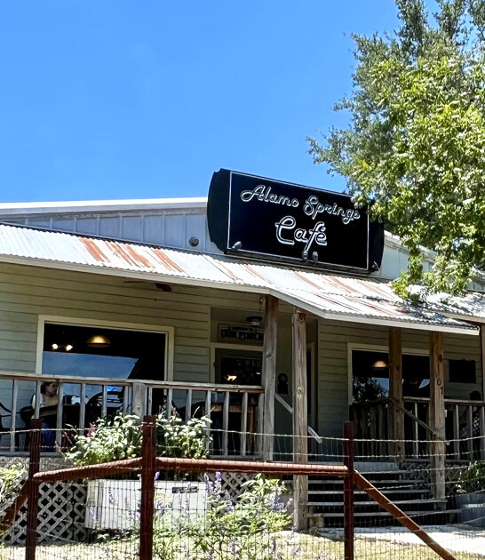 best onion rings texas ftr