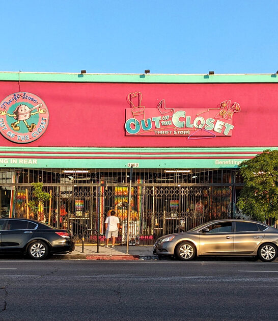 biggest bargain thrift california ftr