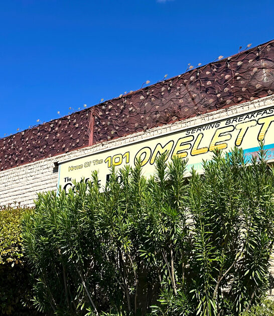 biscuits gravy best arizona ftr