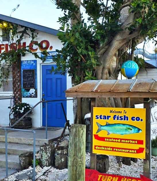 blackened mahi mahi florida ftr