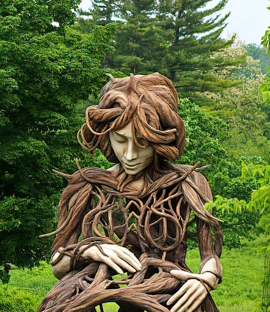 botanical astonishing garden illinois ftr