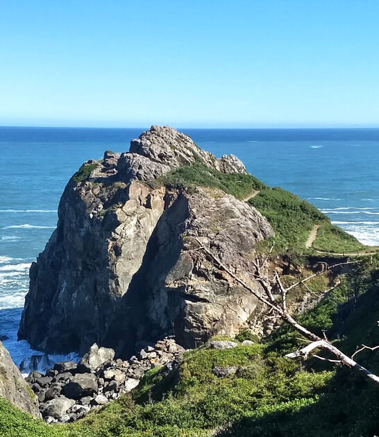 breathtaking california serene park ftr
