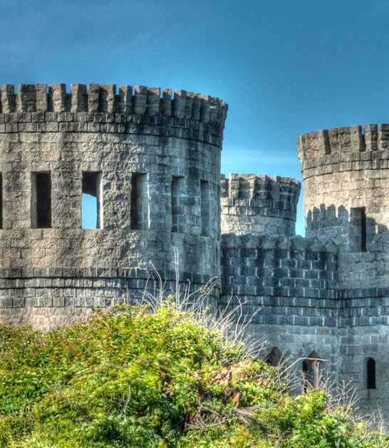 breathtaking florida castle ftr