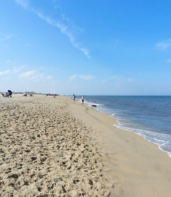 breathtaking state park delaware FTR