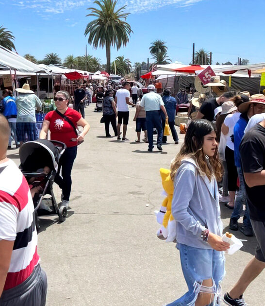 budget flea market california FTR